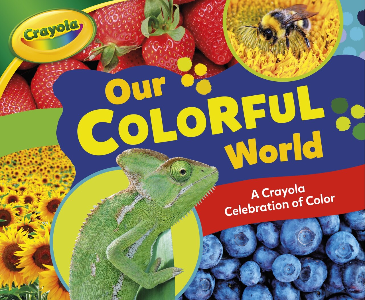 Our Colorful World: A Crayola ® Celebration Of Color by Mari Schuh ...