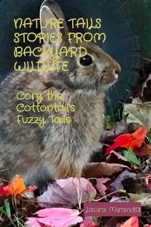NATURE TAILS STORIES FROM BACKYARD WILDLIFE: Cory the Cottontail's ...